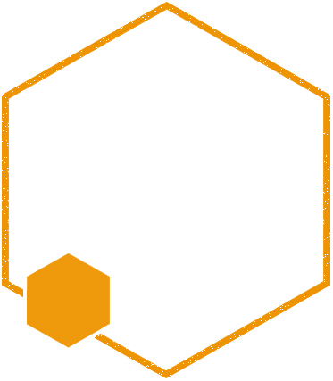 Autumn Internationals Logo Carrigaline Rugby | Autumn International